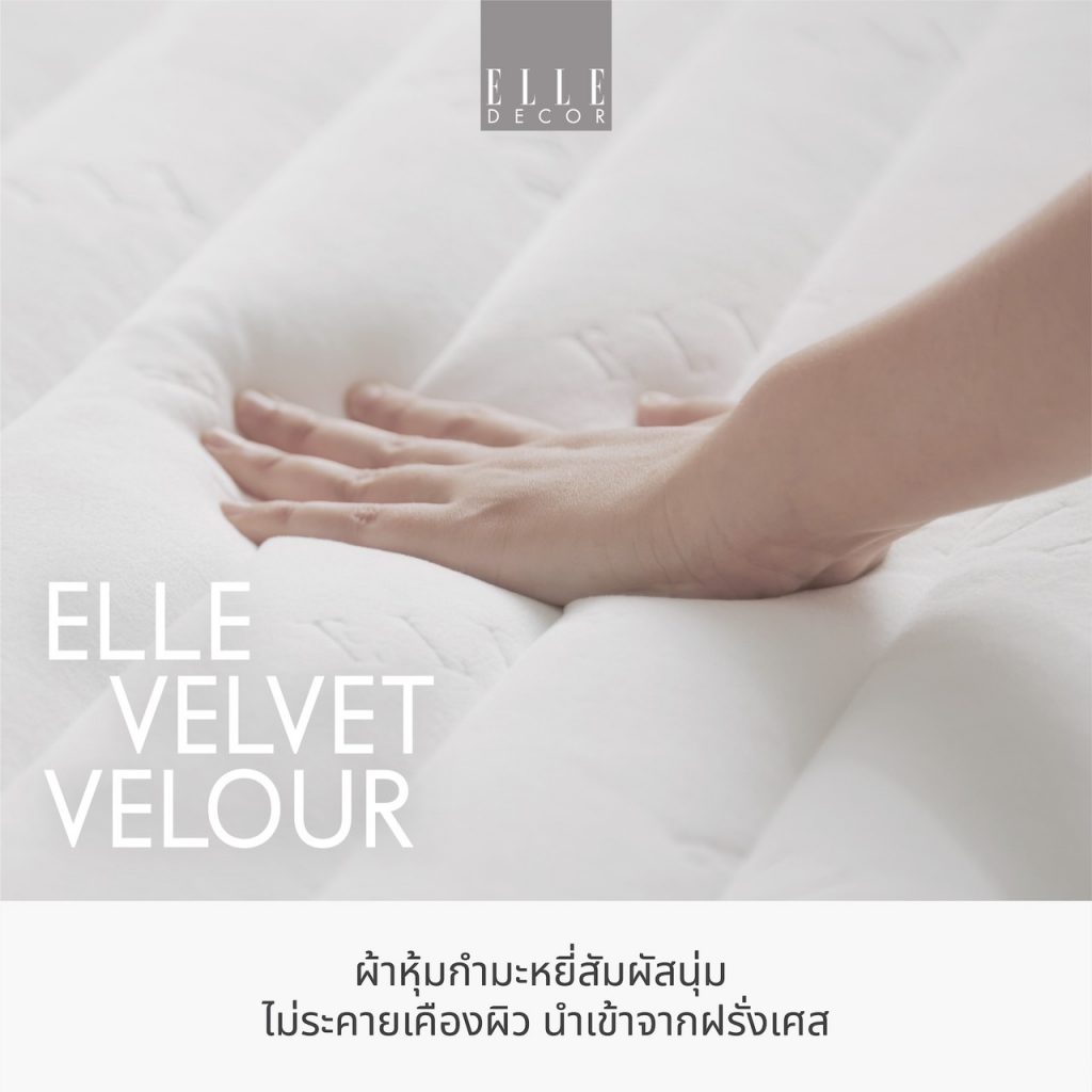 ที่นอน ELLE Decor รุ่น Emilie Basic - ELLE Decor Bedding
